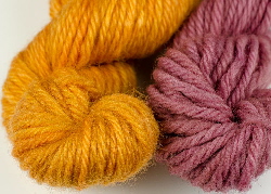 Dyeing with Brazilwood | Wild Colours natural dyes