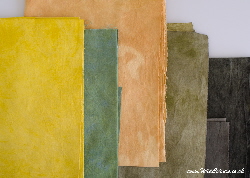 Dyeing with Pomegranate | Wild Colours natural dyes